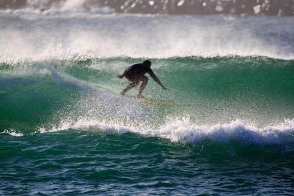 In Perpetuity – East Coast Surfing Hall of Fame Merchandise